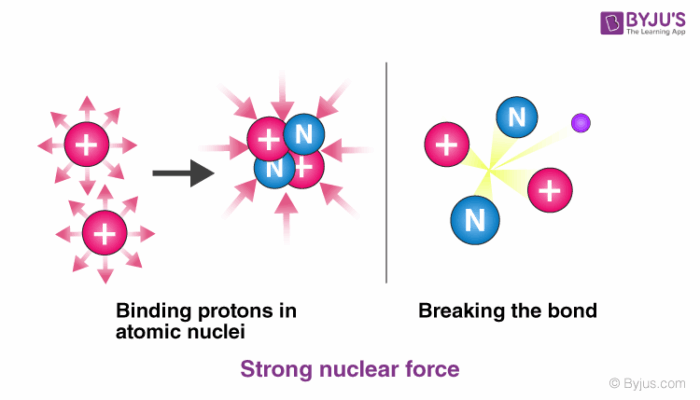 What is the 'strong nuclear force' in physics?