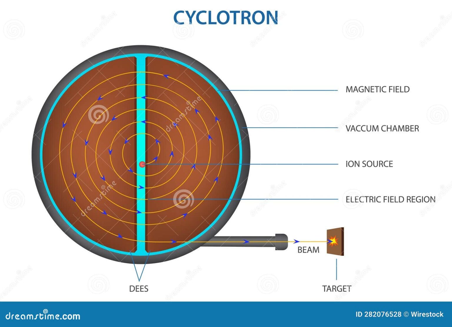 What charged particles are within a particle accelerator?