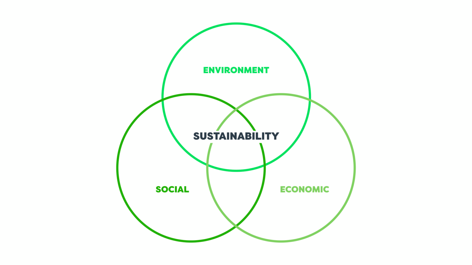 Where did the three pillars of sustainability come from?